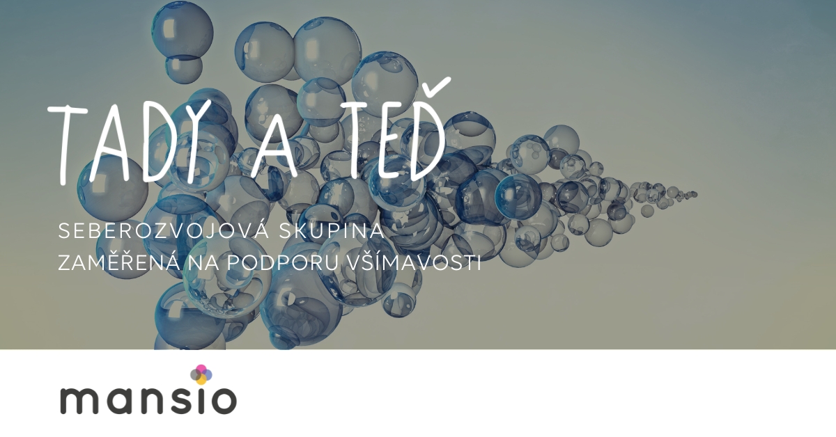 ROZVOJOVÁ SKUPINA TADY A TEĎ